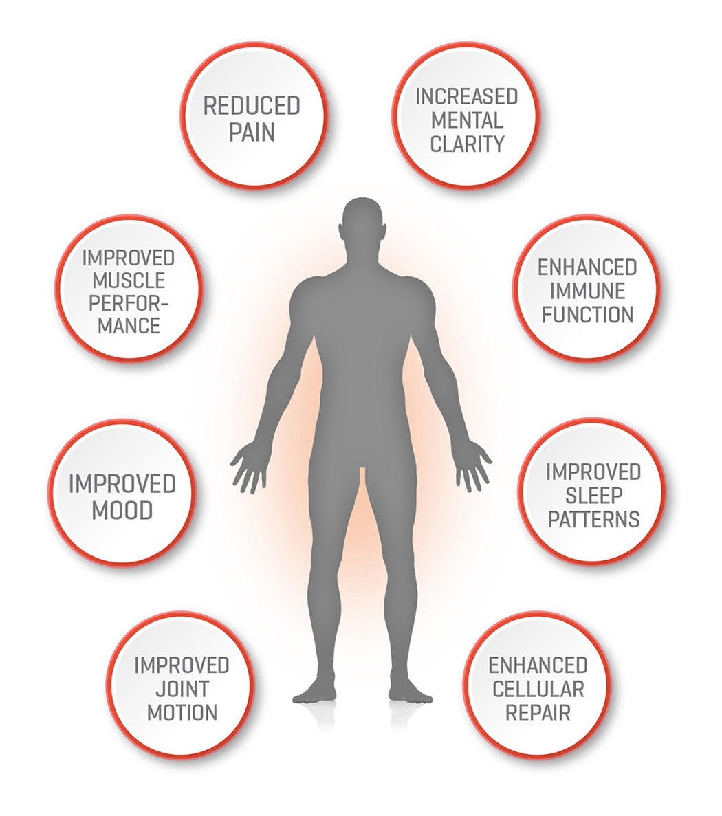 TheraLight FIT Bed (Full Body Red Light Therapy) in in Fairmont and ...